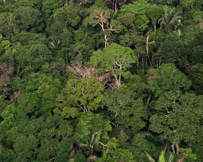 Capítulo III – Ierna