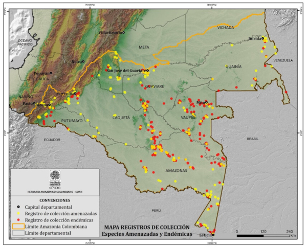 3. Plantas amenazadas de la Amazonia colombiana – Ierna