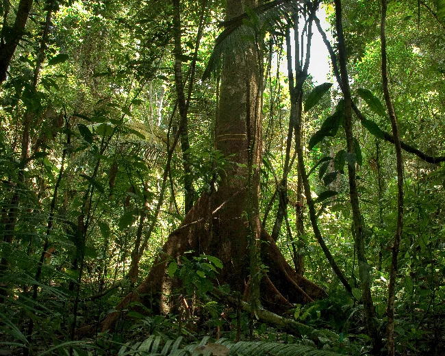 6. Módulo de seguimiento al cumplimiento de los acuerdos locales de ...