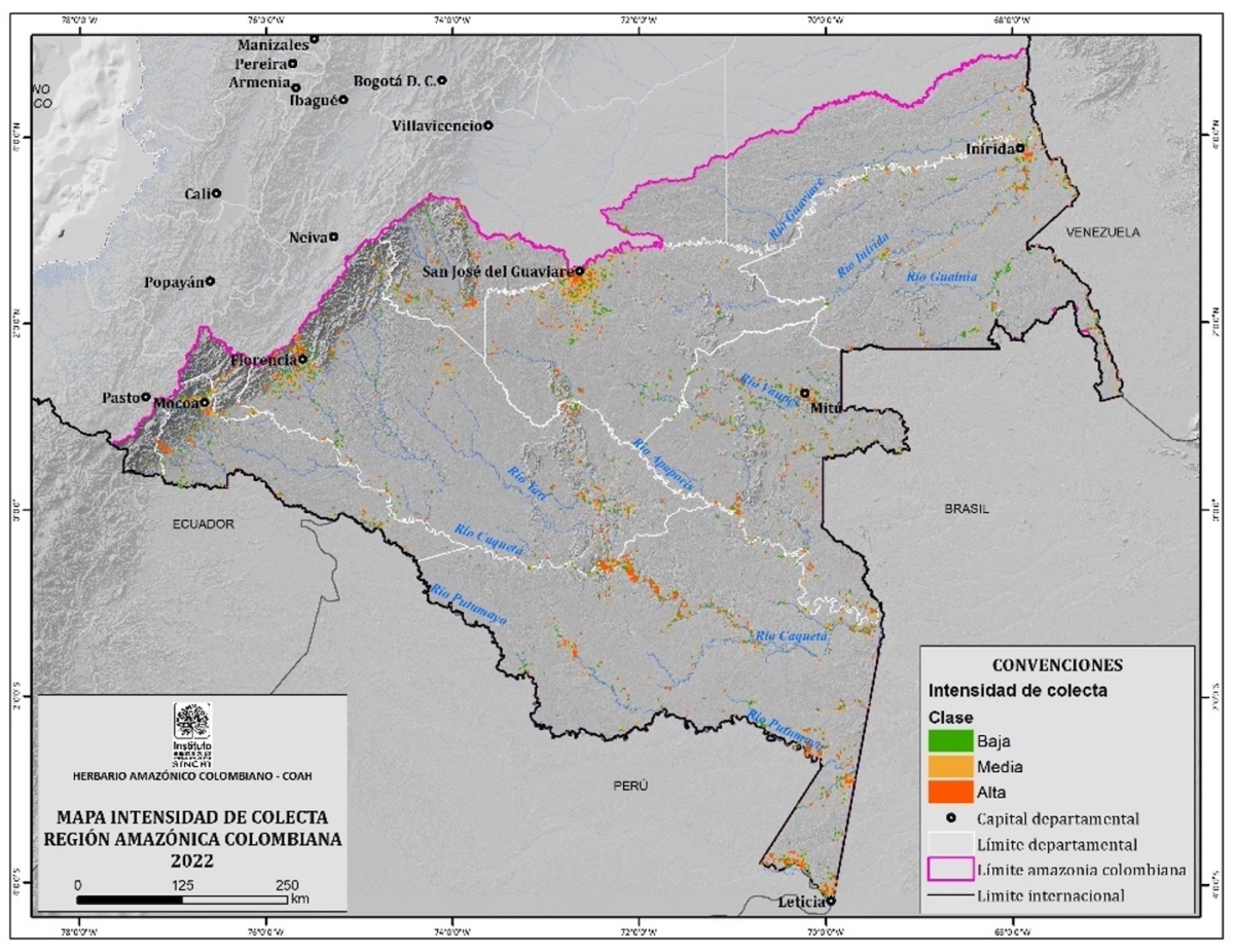 1. Flora de la Amazonia colombiana – Ierna