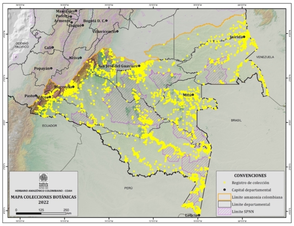 1. Flora de la Amazonia colombiana – Ierna